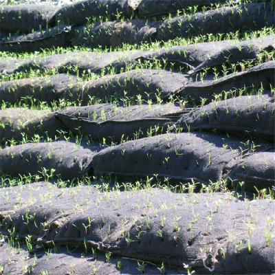 China Soft Filament Nonwoven Geotextile Ensuring Effective Slop Protection and Soil Retention in Slope Stabilization Projects for sale