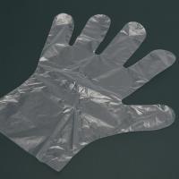 China Hongcheng HDPE Disposable Gloves 100pcs per Bag Transparent 20 Micron Thickness for Food Handling for sale