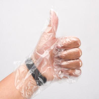 China HDPE Disposable Gloves 100pcs per Bag Transparent Food Handling Custom Thickness 20-200 Micron for sale