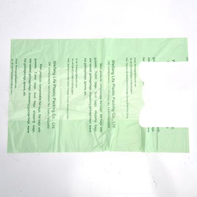 China 40% Biosource Material Structure Newly-Designed and Biodegradable PVC Shopping Bags for sale