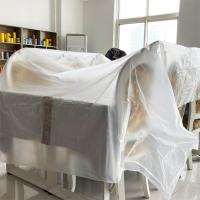 China HDPE LDPE LLDPE Drop Sheet Painting Drop Cloth 4m x 5m Transparent 15mic for sale