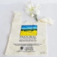 China Compostable PLA Biodegradable Carry Bags 25x40cm 8kg Load for Sustainable Grocery Packaging for sale