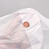 China Micro Perforated Fruit Vegetable Packaging Bag LDPE HDPE Anti Fog Fresh Produce 1kg 2kg for sale