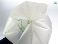 China Custom Biodegradable Plastic Bags 25x40cm 8kg Load Eco Friendly Grocery Shopping for sale