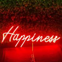 China Aesthetic Positive Atmosphere Custom Neon Light Signs Happiness Neon Sign For Apartment for sale