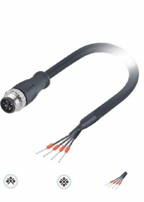 China S Code Power Cable Male M12 Circular Connector Molded End With Terminals IP67 for sale