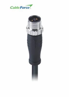 China M12 T Code Male 4 Pin Connector Molded With 12A Power Cable Unshielded Free End for sale
