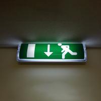 China Emergency LED Bulkhead Light IP65 Waterproof Automatic Exit Luminaire for sale