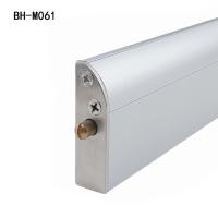 China Luxury Screw Fixd Mounted Automatic Door Bottom Seals Aluminium Weather Strips for sale