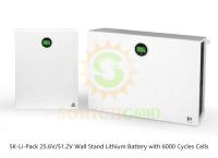 China Versatile Lithium Battery Storage for Homes Small Businesses and More for sale
