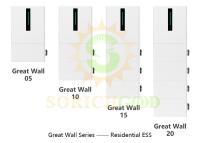 China 51.2V 100Ah 5.12kWh 600Ah 30.72kWh Wall-mounted Power Solar Lithium Battery Storage for Home Emergency Camping RV for sale