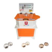 China Centrifugal Casting Machine for Seashell Metal Alloy Button Jewelry Production Equipment for sale