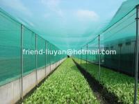 China UV Treated HDPE Agriculture Insect Net 50m 100m 500D Anti Insect Mesh for sale