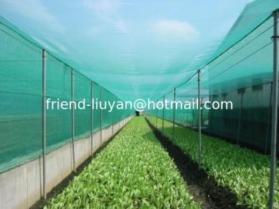 China UV Treated HDPE Agriculture Insect Net 50m 100m 500D Anti Insect Mesh for sale