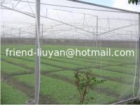 China UV Treated HDPE Agriculture Insect Net 50m 100m 500D Anti Insect Mesh for sale