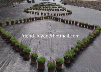 China PP Weed Control Cover Fabric 100gsm Durable Woven Ground Cover 150cm x 50m for sale