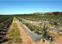 China 100cm Woven Polypropylene Ground Cover For Land Protection UV Treated for sale