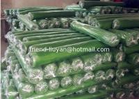 China Green Color 14x14 Mesh HDPE Window Screen, Plastic Mosquito Net, Durable Fly Screen for sale