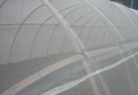 China White Agriculture Anti Insect Netting 40 Mesh  1m - 4m UV Resistant for sale