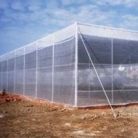 China HDPE 5000S Agriculture Insect Net 50m 100m UV Resistant for sale