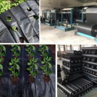 China 100gsm Breathability Polypropylene Ground Cover Land Moisture Pp Woven Fabric for sale