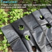 China Soft 50cm Polypropylene Woven Ground Cover Membrane Black for sale