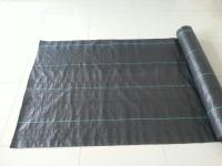 China Black PP Woven Weed Control Fabric Ground Cover 2m x 100m Roll UV Resistant for sale