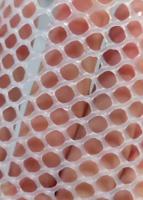 China Green Plastic Mesh Netting 200-400gsm Anti Hail Anti Mole Net for sale