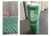 China Green Plastic Mesh Netting 200-400gsm Anti Hail Anti Mole Net for sale