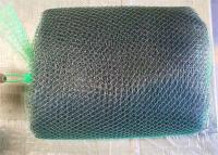 China Anti Bird Polyethylene Mesh Netting Anti Mole Net Plastic Plant Growing Up Netting for sale