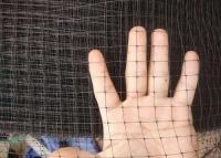 China Anti Bird Polyethylene Mesh Netting 10mm 15mm 20mm 25mm 40mm Green Black for sale