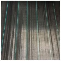 China PP Woven Ground Cover Fabric 100gsm Weed Control Landscape Fabric Black 1-4m Width for sale