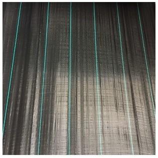 China PP Woven Ground Cover Fabric 100gsm Weed Control Landscape Fabric Black 1-4m Width for sale