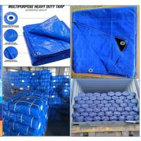 China Multi Purpose PE Tarpaulin Heavy Duty 50gsm 200gsm Waterproof Plastic Tarp Blue for sale