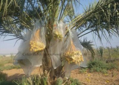 China HDPE PP Woven Mesh Bag for Jujube Date Collecting Anti UV 100gsm for sale