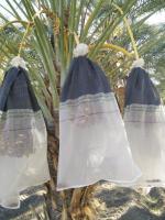 China White Jujube Date Collecting Net Bags Anti UV HDPE Mesh Bags 80x100cm for Morocco for sale