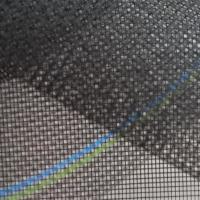 China Black Fiberglass Window Mosquito Net Screen 18x16 Mesh Flame Retardant Insect Net for sale