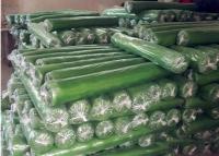 China Green Window Mosquito Net 16x14 Plastic Wire Mesh for Window Screen for sale