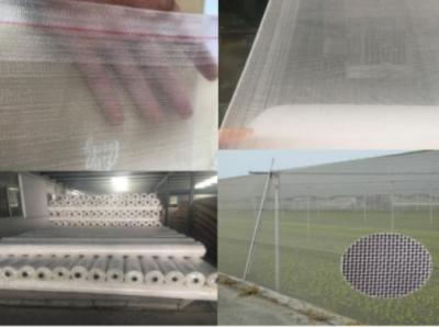 China 115gsm Agriculture Insect Net UV Protection 4m Width 50x25 Mesh PE Resin for sale