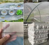 China White UV Treated HDPE Agriculture Insect Net 6M Width 60-115g/m2 Anti Insect Netting for sale