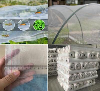 China White UV Treated HDPE Agriculture Insect Net 6M Width 60-115g/m2 Anti Insect Netting for sale