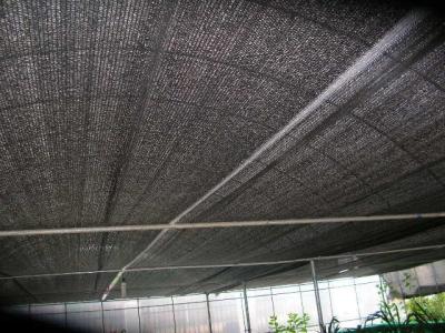 China Black PE Shade Net 60gsm Greenhouse Agriculture Shading Net Anti-Hail UV Resistant 1-12m Width for sale