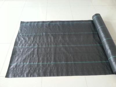 China 90gsm PP Woven Ground Cover Fabric 9x9 Mesh Anti Weed Weed Control 500D for sale