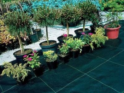 China 100gsm Anti Weed PP Woven Ground Cover Fabric Weed Barrier 9x9 Mesh 500D for sale