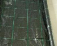 China 100gsm Anti Weed PP Woven Ground Cover Fabric Weed Barrier 9x9 Mesh 500D for sale