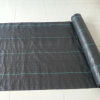 China 120gsm Black PP Woven Ground Cover Fabric 9x9 Mesh Weed Control 500D for sale