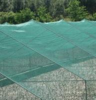 China Greenhouse Anti Insect Netting 1m-4m Width 60g-115g PE Abrasion Resistant Crop Protection for sale