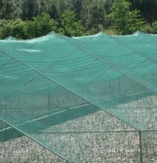 China Greenhouse Anti Insect Netting 1m-4m Width 60g-115g PE Abrasion Resistant Crop Protection for sale