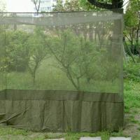 China Casual Polyester Mosquito Net Stop Mosquito Net For Baby for sale