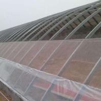 China HDPE PE Insect Net Shade Net 50-100m UV Treated Olive Collecting Netting for sale